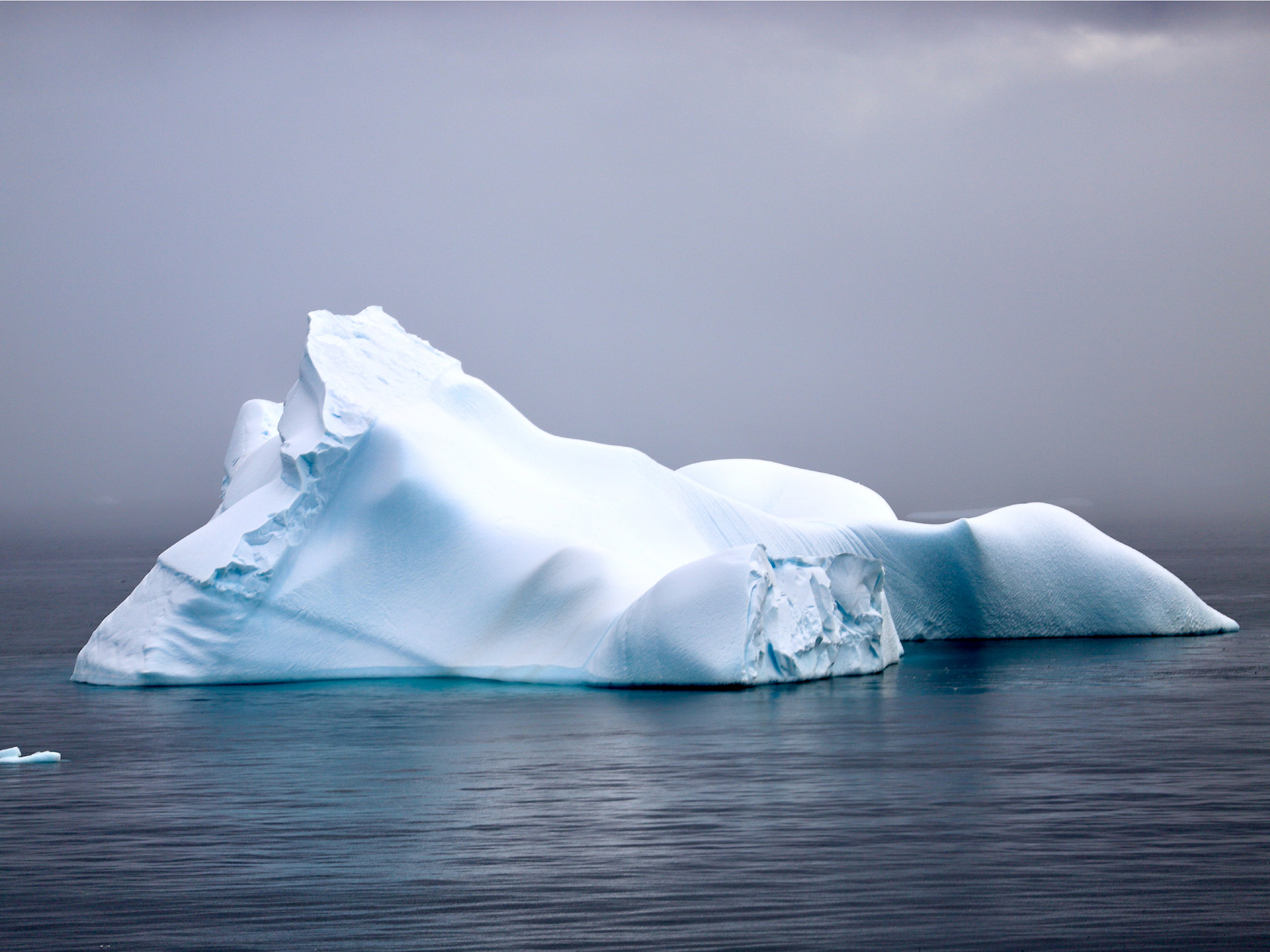 Mind the Iceberg – Roisin van Ravenhorst